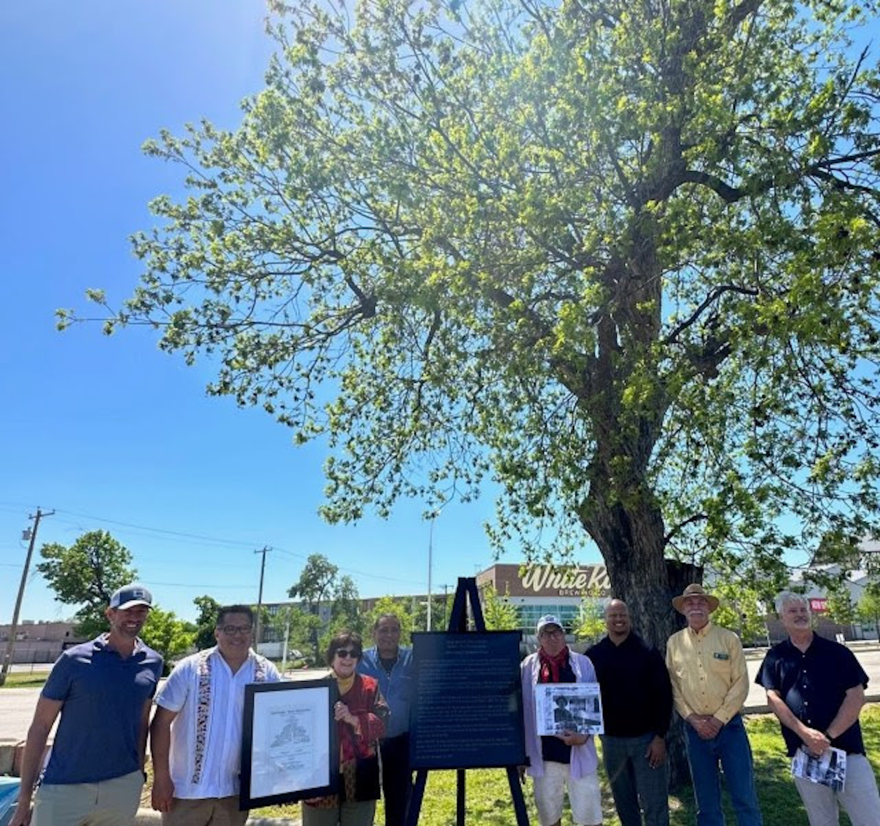 Dallas’ First Historic Tree Recognition – Dallas County Pioneer Association